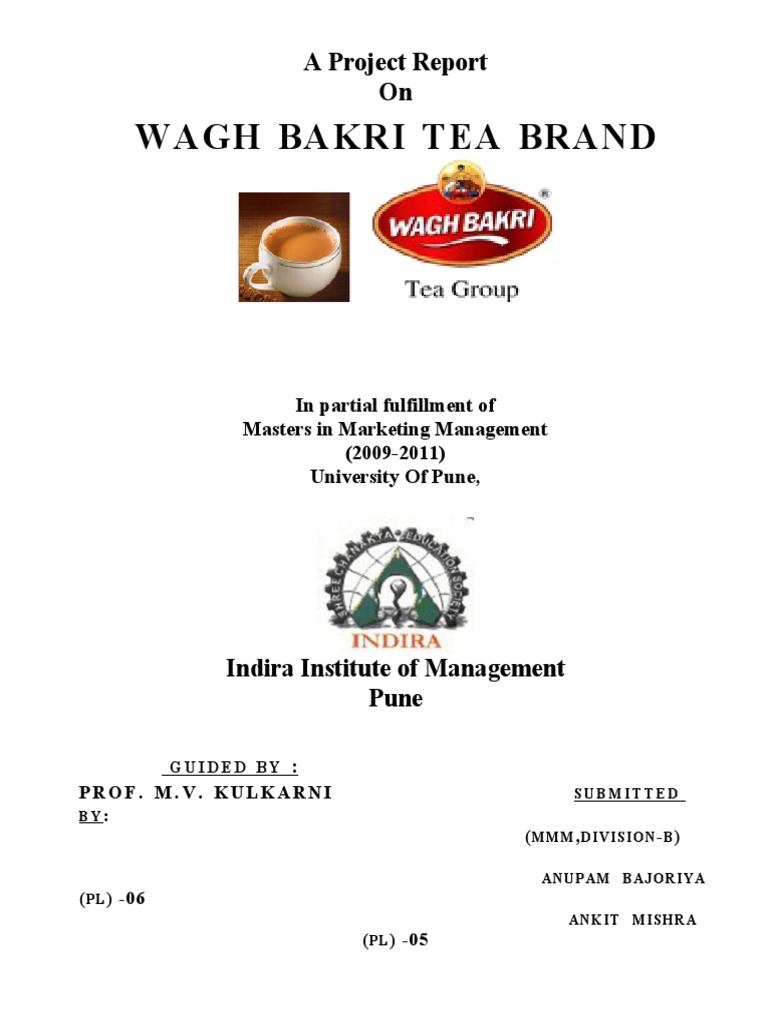 A Project Report | PDF