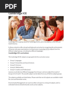 AICE Global Perspectives | PDF | Learning | Cognition
