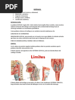 Clasificación de Savary Miller y Los Ángeles | PDF | La enfermedad por ...