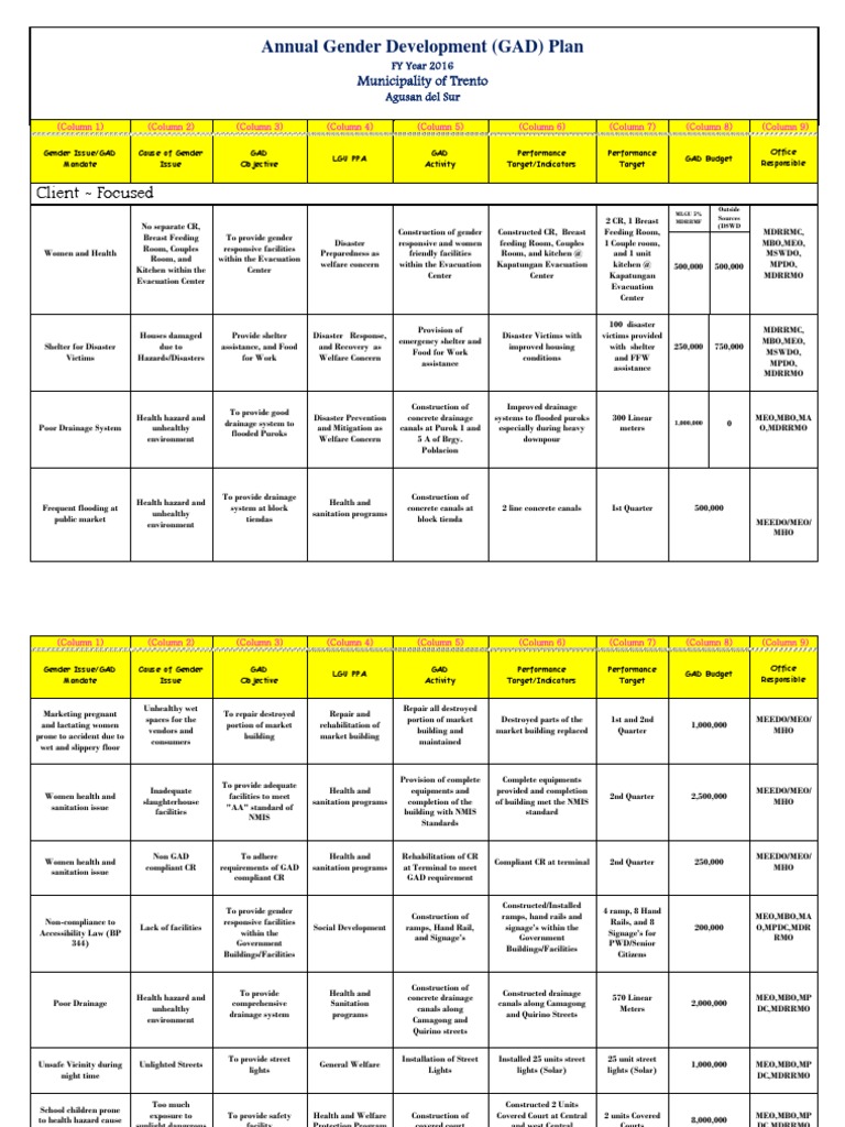 Annual Gender Development (GAD) Plan: Client - Focused | PDF