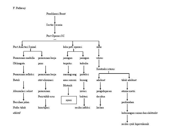 Pathway Preeklamsi Berat | PDF