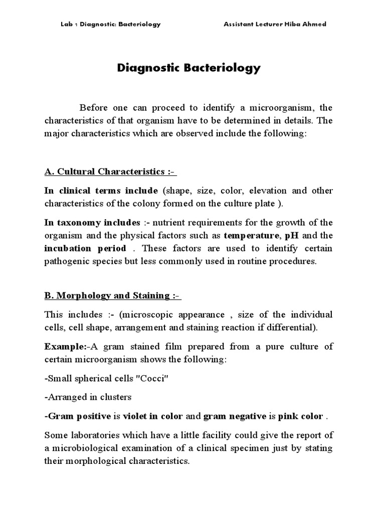 Lab 1 Diagnostic: Bacteriology Assistant Lecturer Hiba Ahmed | PDF ...