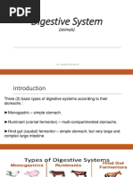 Pig Monogastric Digestive System Overview | PDF | Small Intestine ...
