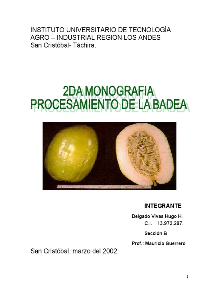 Badea Procesamiento | PDF | Conservas de frutas | Calidad (comercial)