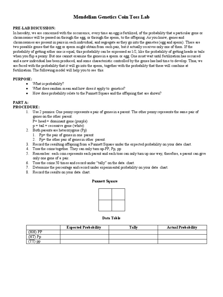 Mendelian Genetics Coin Toss Lab | PDF | Genetics | Biology