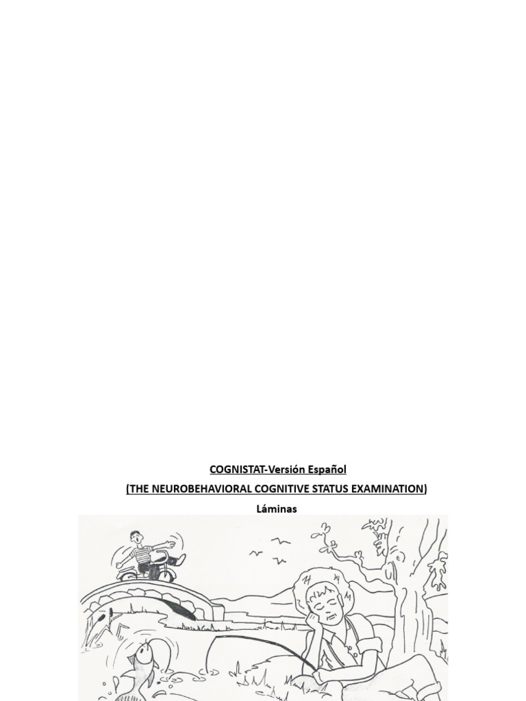 Cognistat Laminas | PDF