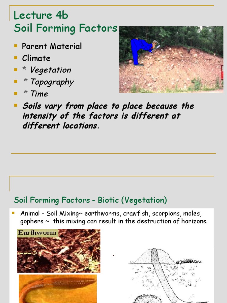 Soil Formation Factors & Effects | PDF | Soil | Erosion