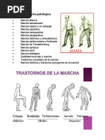 Marchas Patologicas | PDF | Pie | Rodilla