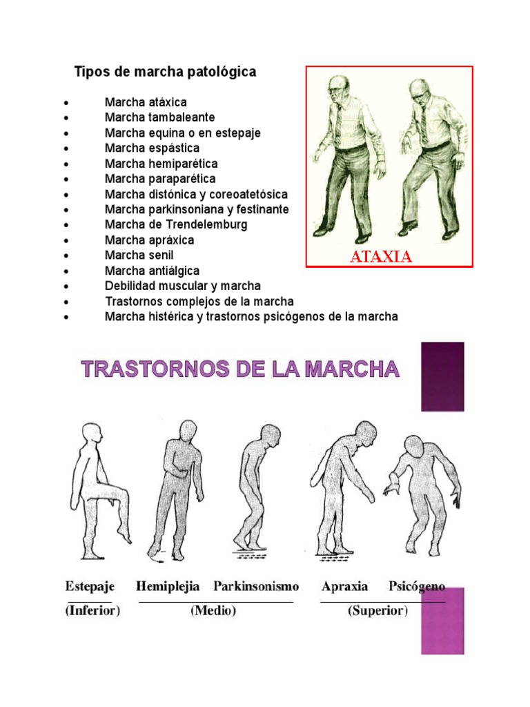 Tipos de Marcha Patológica y Anatomía | PDF | Salud y bienestar