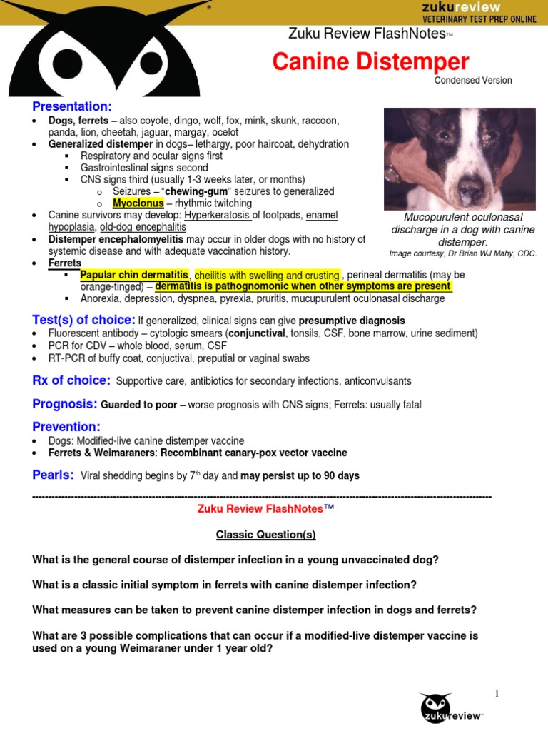 Zuku Visual Flashnotes Distemper Condensed | PDF | Animal Diseases ...