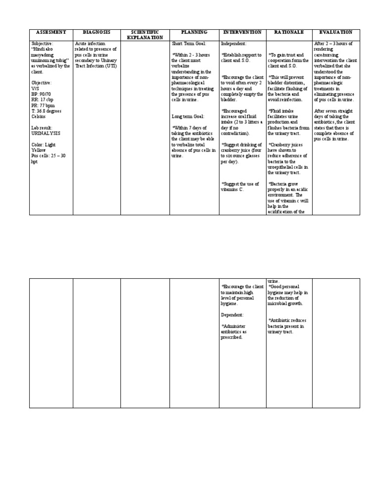 Assesment Diagnosis Scientific Explanation Planning Intervention ...