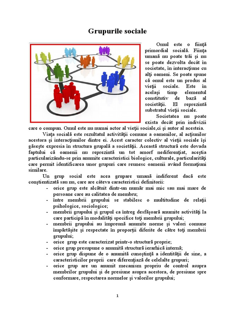 Grupuri Sociale | PDF
