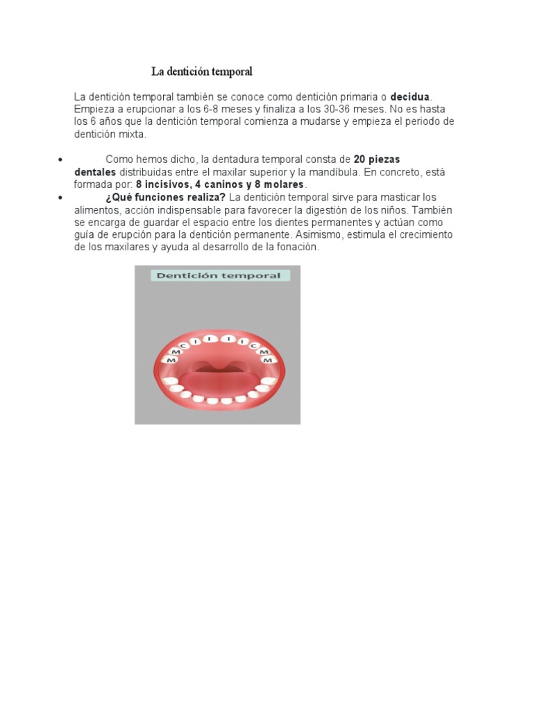Dentición Temporal: Funciones y Desarrollo | PDF | Estilo de vida