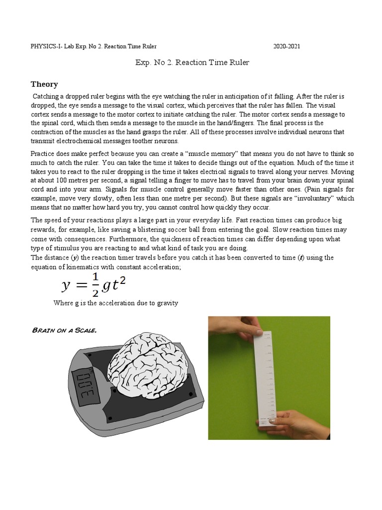 PHYSICS-I-Lab Exp. No 2. Reaction Time Ruler 2020-2021 | Download Free ...
