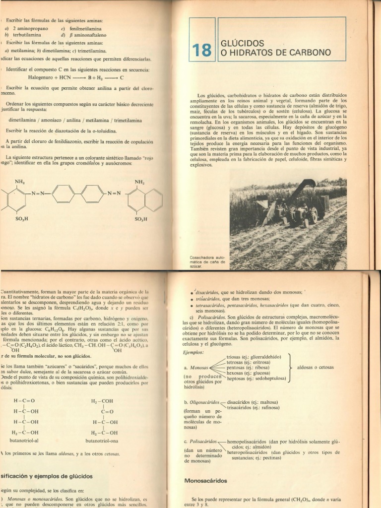 Lipidos - Biasioli - Weitz - 1 | PDF