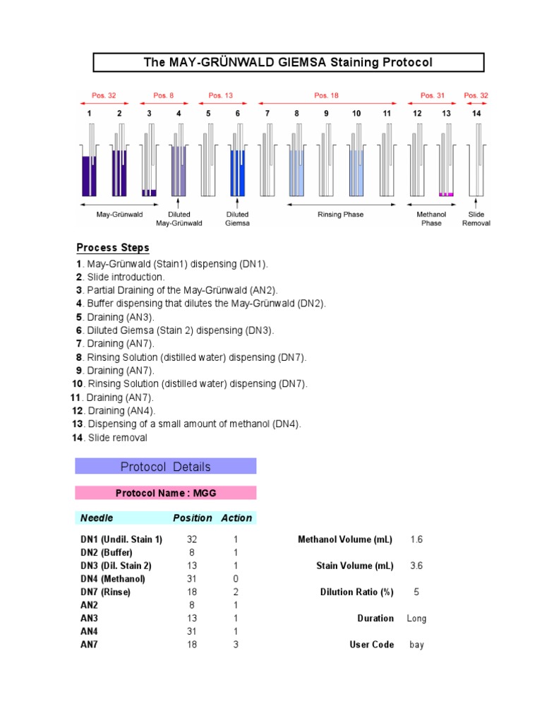 May-Grünwald Giemsa Staining Protocol | PDF