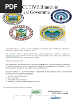 Local Government Units: Roles Explained | PDF | Law