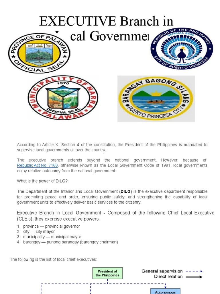 EXECUTIVE Branch in Local Government | PDF | Policy | Social Institutions