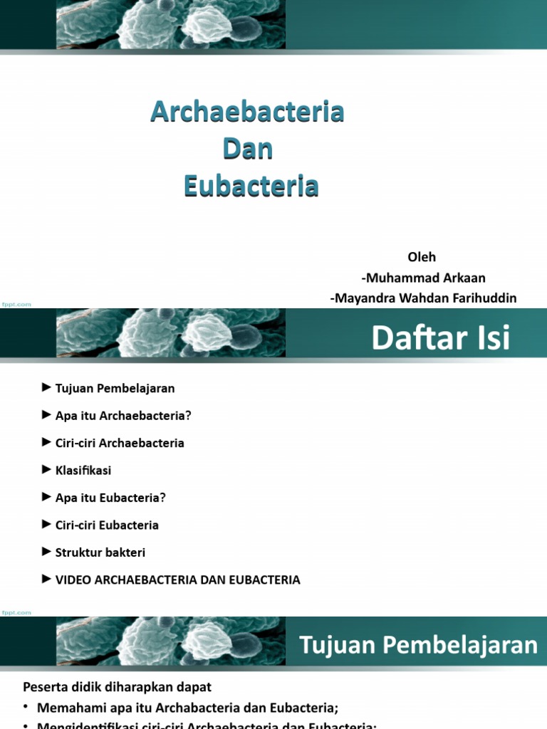 Archaebacteria Dan Eubacteria | PDF