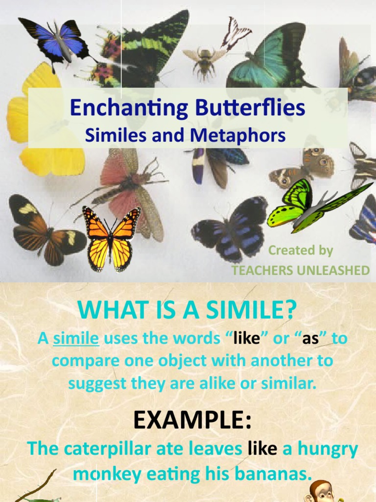 Enchanting Butterflies: Similes and Metaphors | PDF | Butterfly | Metaphor