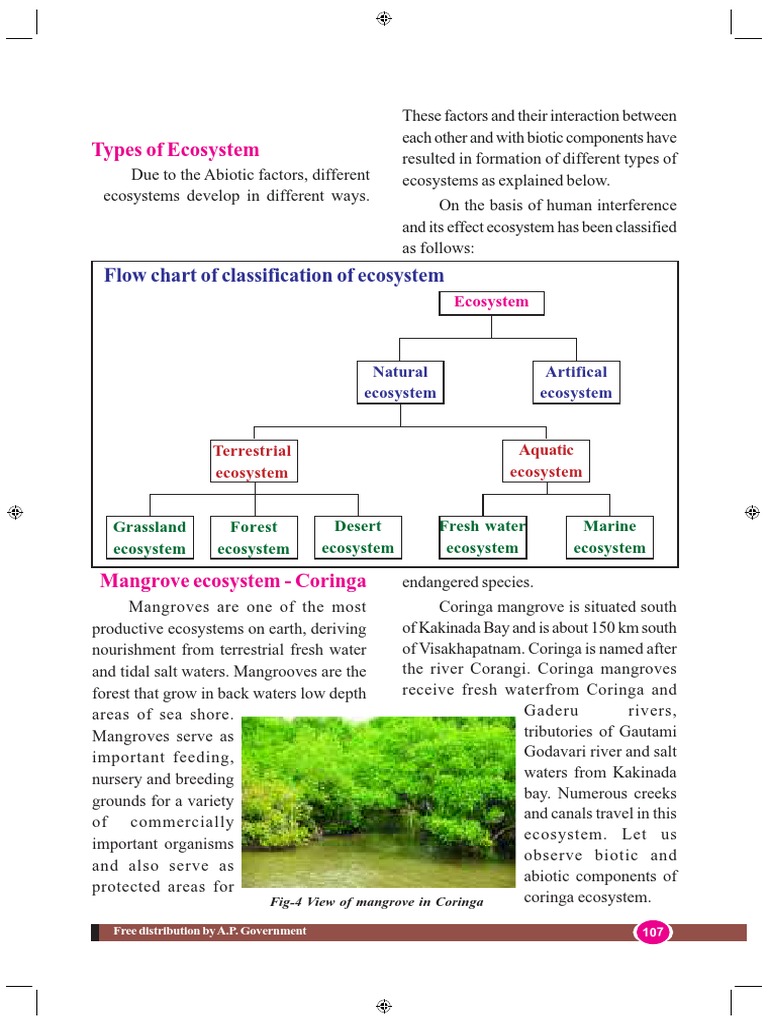 Types of Ecosystem PDF | Download Free PDF | Ecosystem | Mangrove