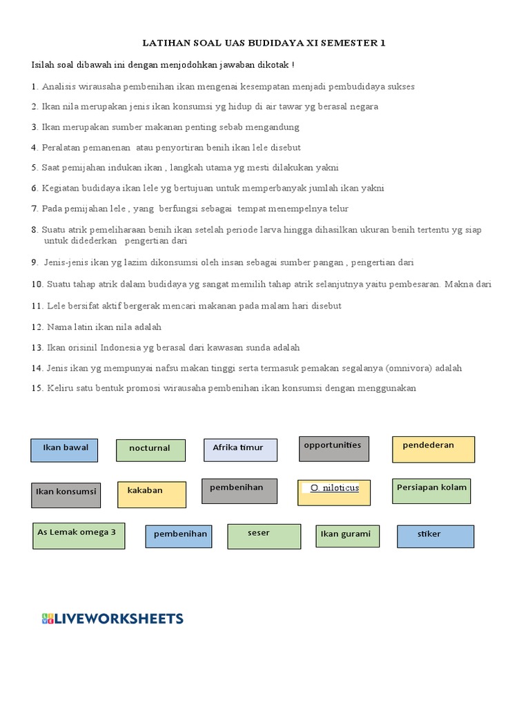 Live Worksheet | PDF