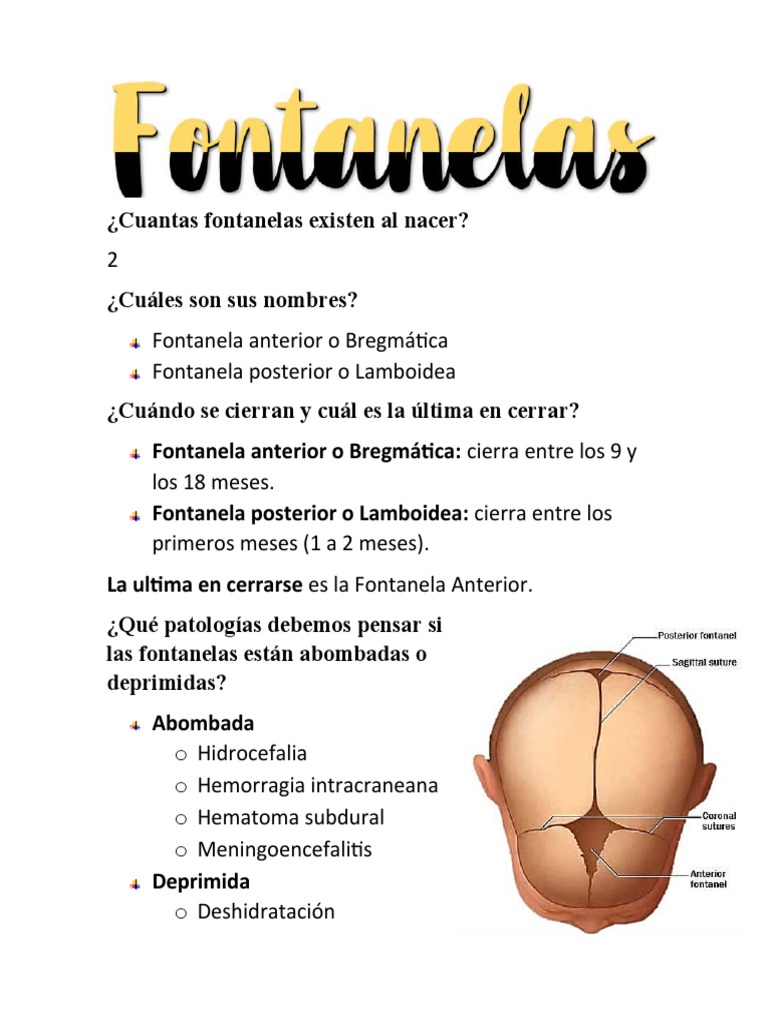 Tipos y cierre de fontanelas en bebés | PDF | Salud y bienestar