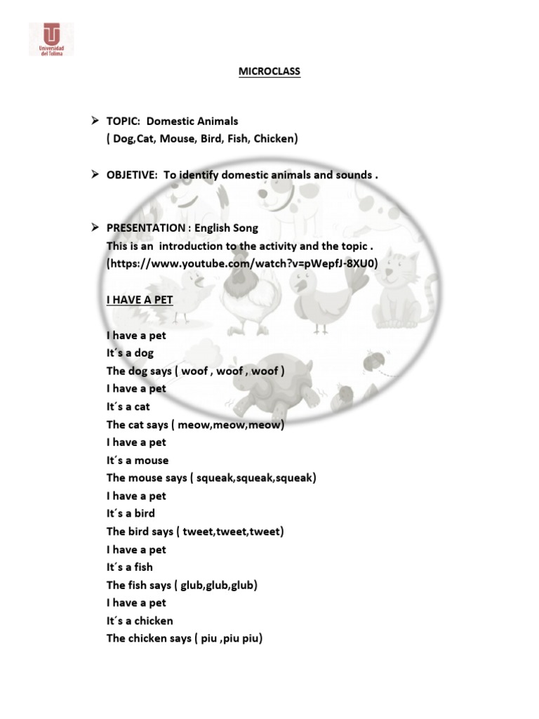 Domestic Animals Learning Activity | PDF