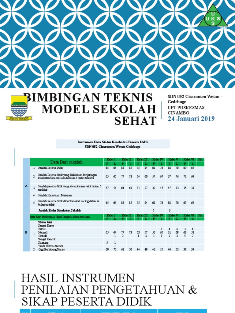 Assesment Awal Model Sekolah Sehat | PDF