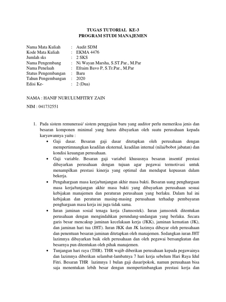 Tugas 3 Audit SDM | PDF