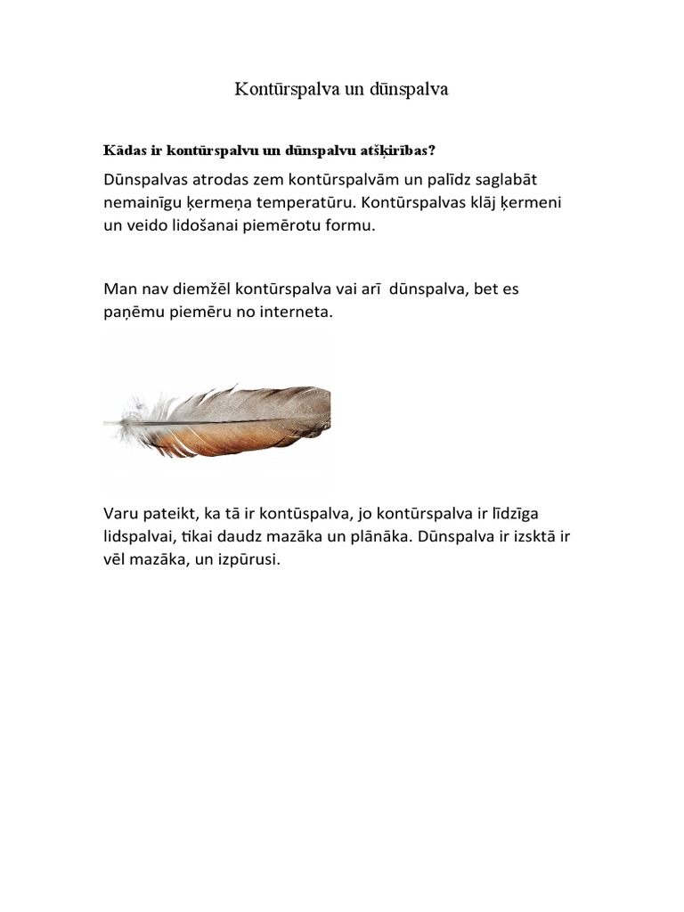 Kontūrspalva Un Dūnspalva-Anna Balla | PDF