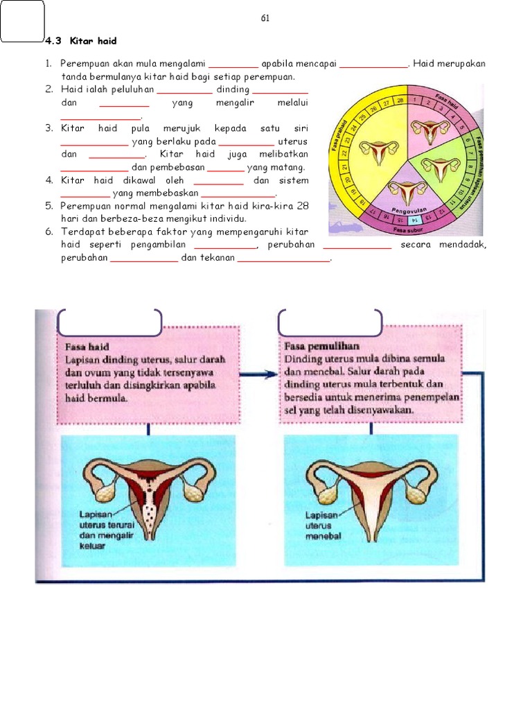 4.3 Kitar Haid | PDF