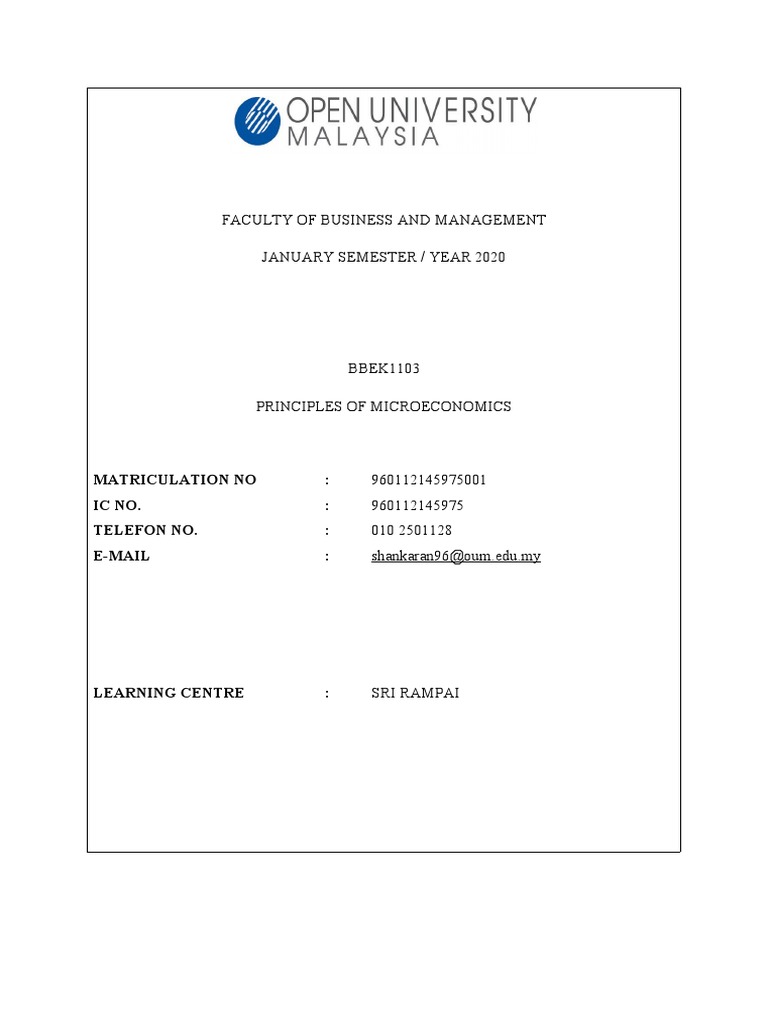 Microeconomics: Types of Goods Explained | PDF | Final Good | Economics