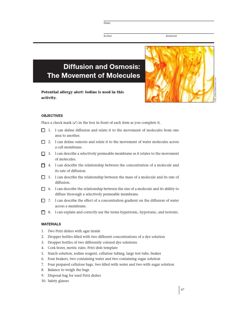 Diffusion and Osmosis Lab Activity PDF | PDF | Osmosis | Chemistry