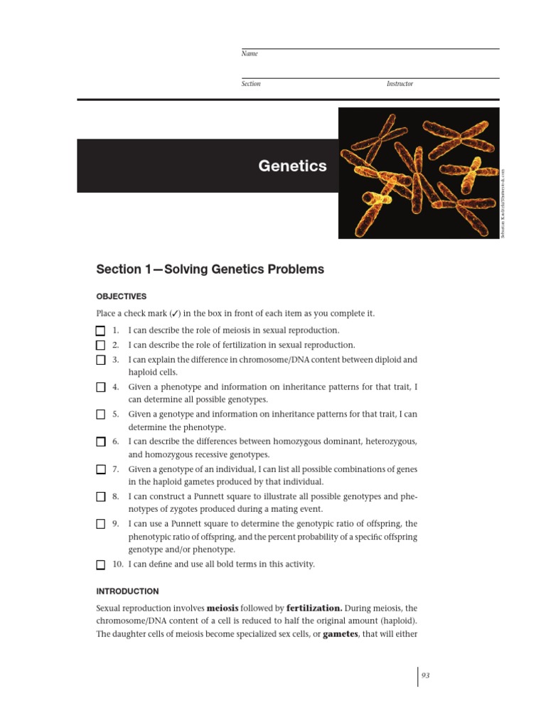 Genetics Problem Solving Guide | PDF | Genotype | Zygosity
