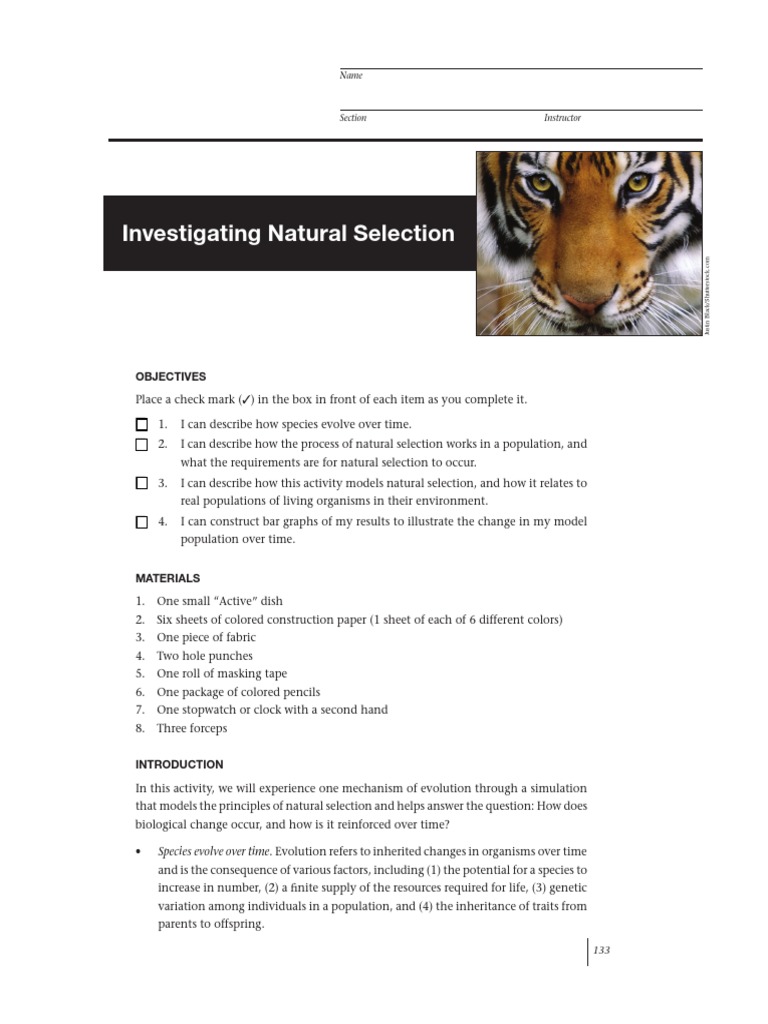 Natural Selection Simulation Activity | PDF | Natural Selection | Evolution