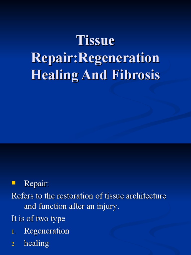 Tissue Repair:Regeneration Healing and Fibrosis | PDF | Signal ...