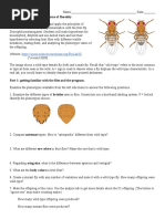 Pigeon Genetics: Answer Key | PDF | Dominance (Genetics) | Genotype