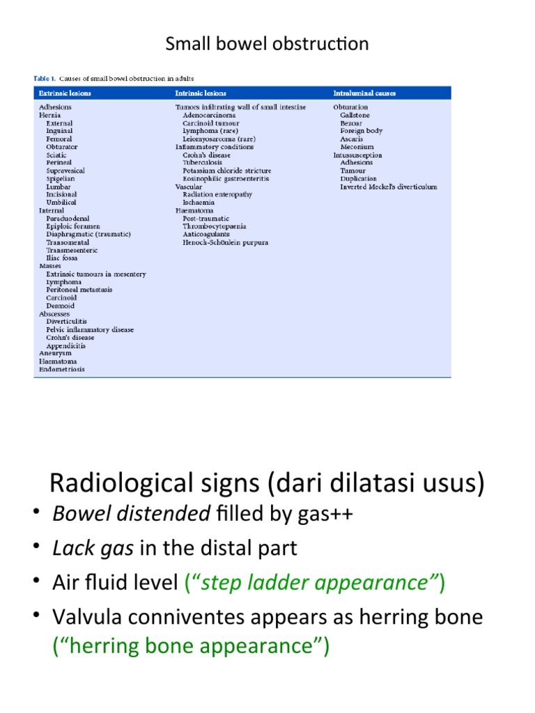 Small Bowel Obstruction | PDF