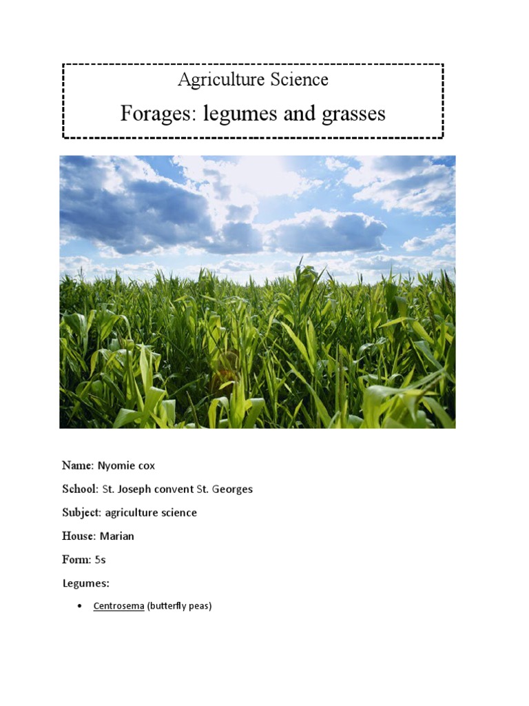 Forages: Legumes and Grasses: Agriculture Science | PDF