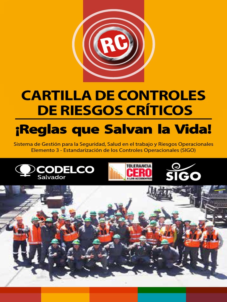 Cartilla Dsal PDF | PDF | Andamio | Arsénico