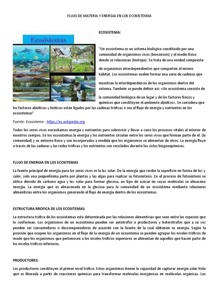 Flujo de Energia y Materia en Los Ecosistemas | PDF | Biomasa (Ecología) | Red alimentaria
