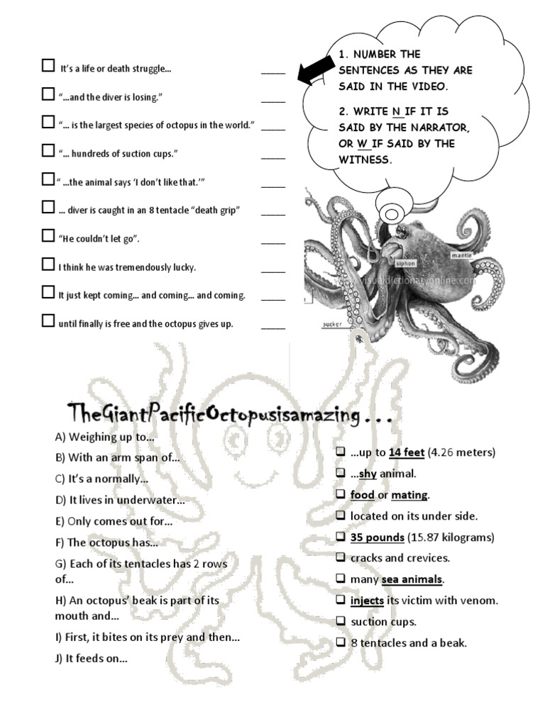 Number The Sentences As They Are Said in The Video. 2. Write N If It Is ...