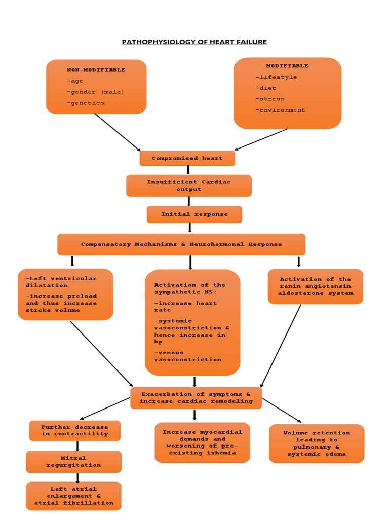 Pathophysiology of Heart Failure | PDF | Heart | Cardiovascular System