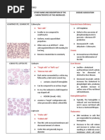 Codocytes & Leptocytes: Denzo, Irish Jean E. Sarabia, Wencimar F | PDF