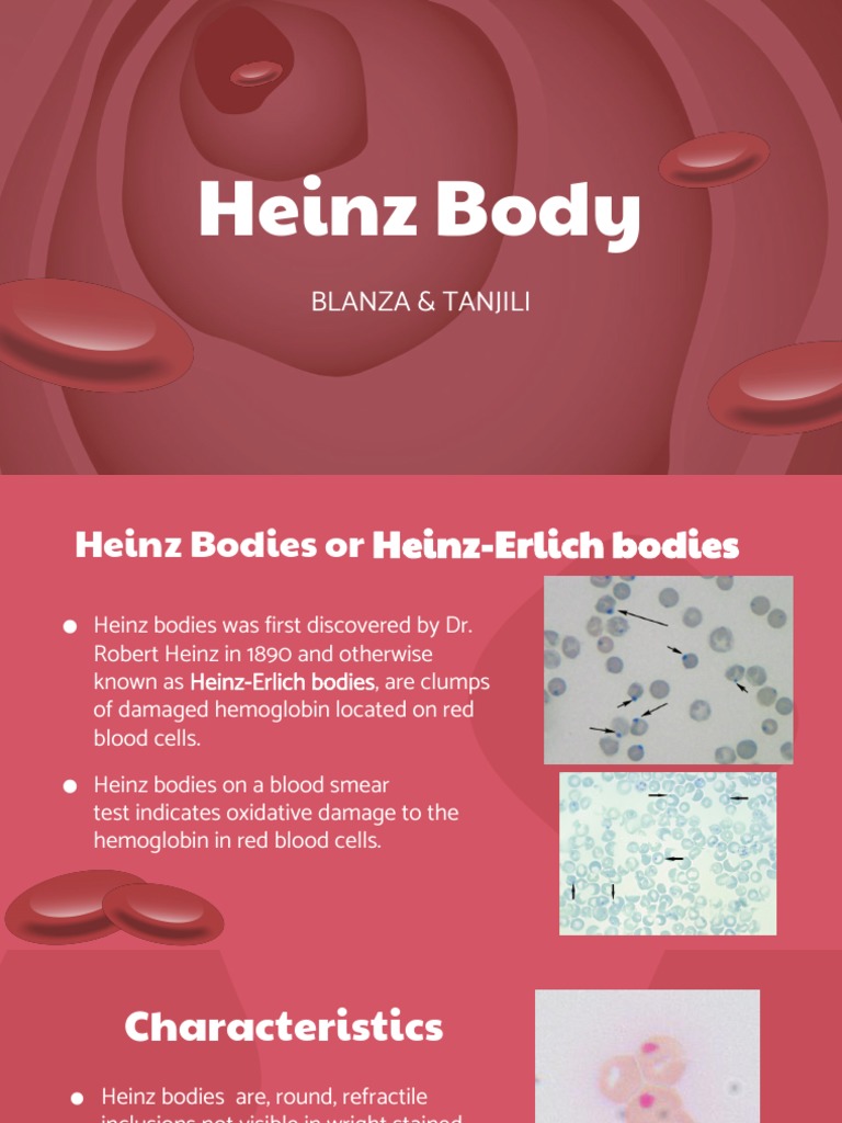 Heinz Body