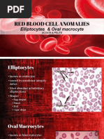 Codocytes & Leptocytes: Denzo, Irish Jean E. Sarabia, Wencimar F | PDF