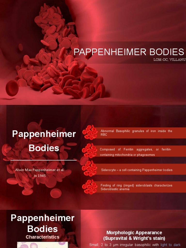 Pappenheimer Bodies | PDF