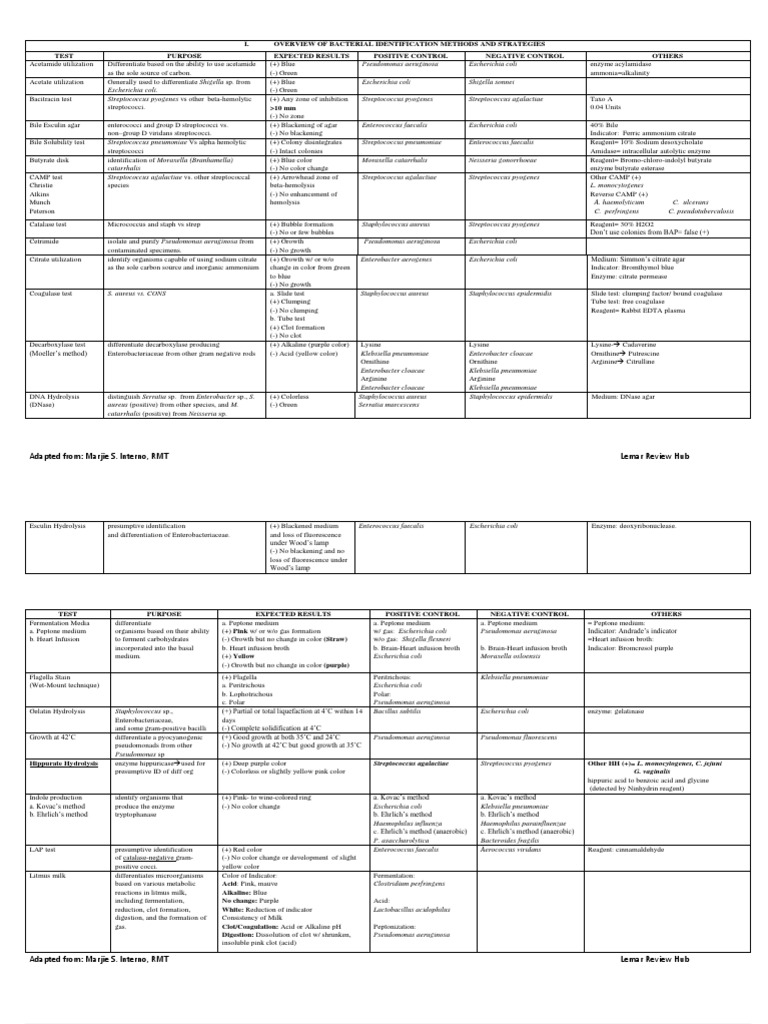 Bacterial Identification Methods Overview | PDF