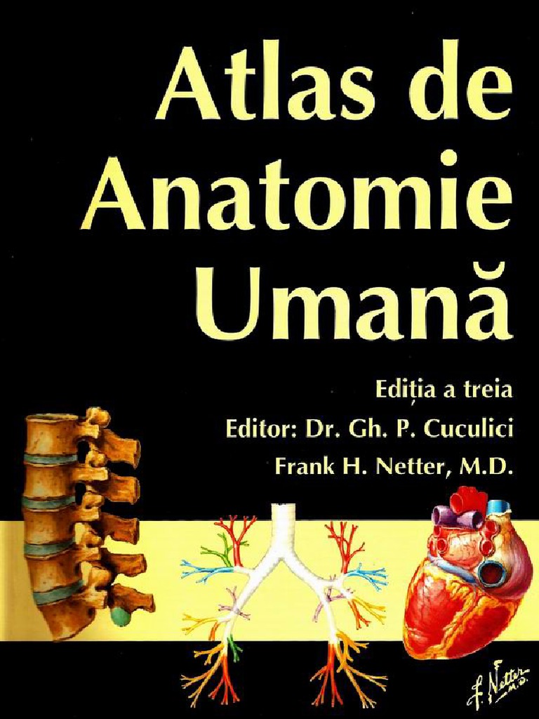 Netter Atlas PDF | PDF